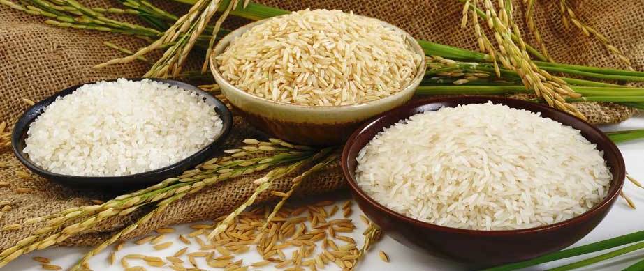 Pak Rice Mills | The Leading Rice Exporting Company in Pakistan
