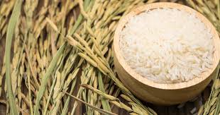 Pak Rice Mills | The Leading Rice Exporting Company in Pakistan